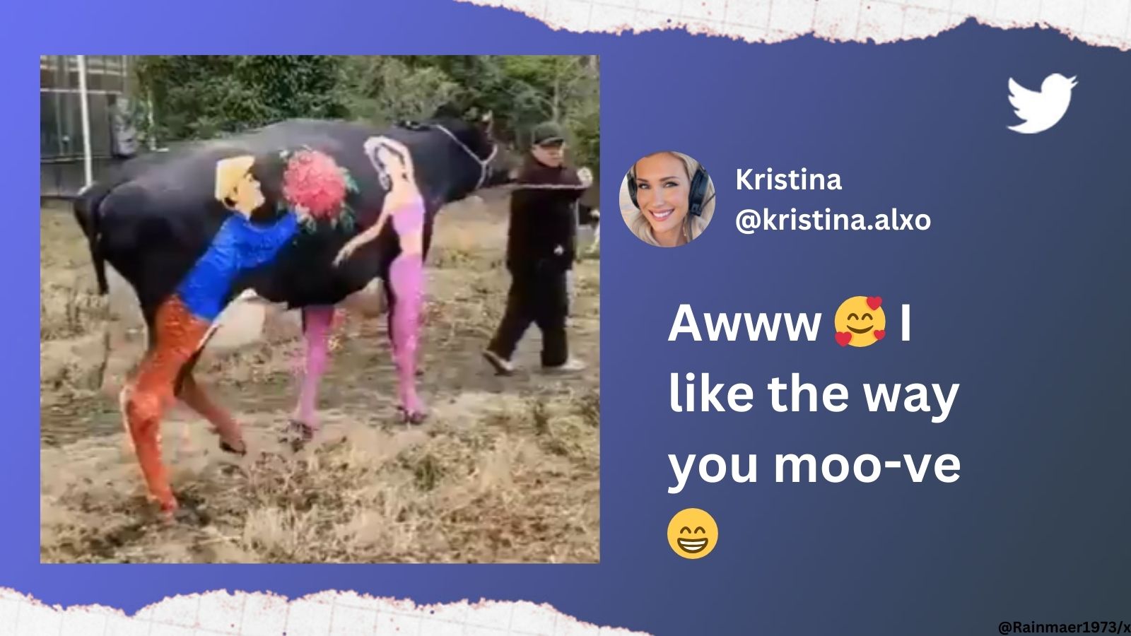 Cow transformed into Valentine’s Day canvas sparks social media frenzy ...