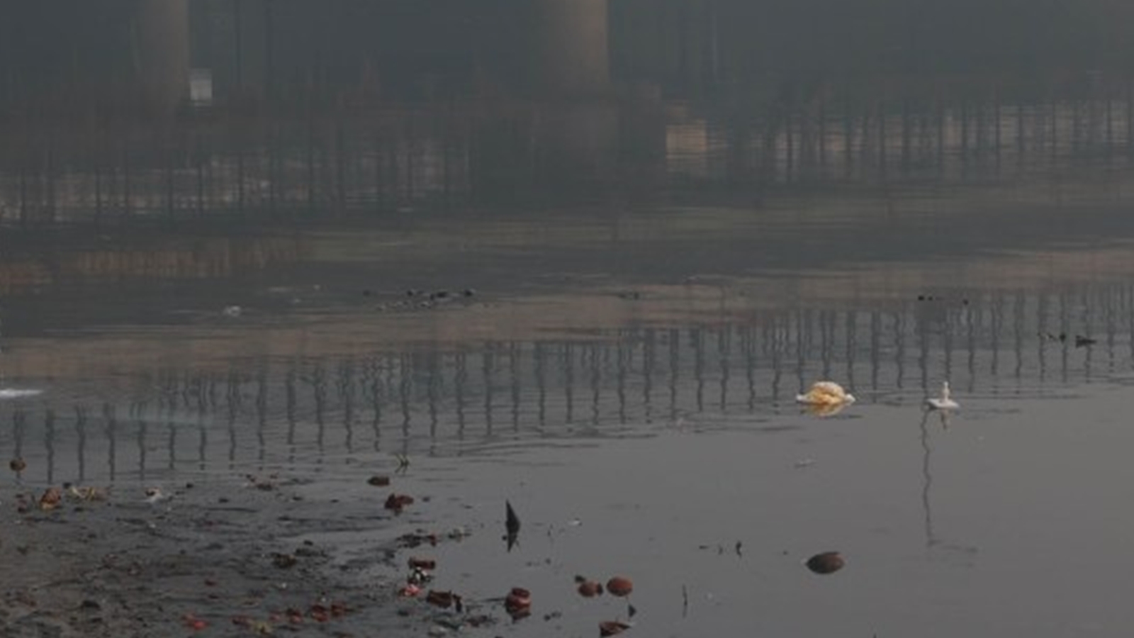 Latest News on Water Pollution: Get Water Pollution News Updates along ...