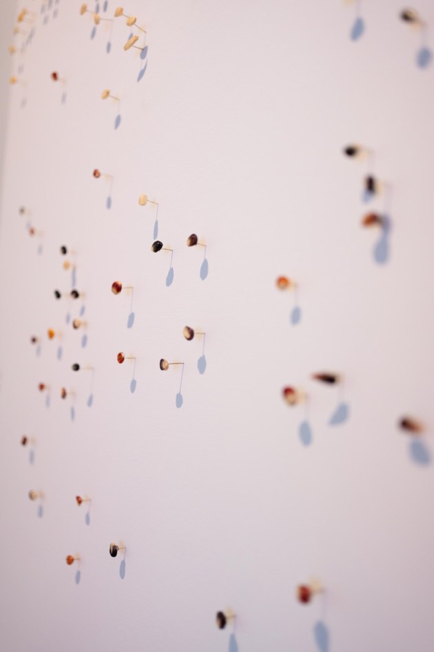 Art meets ecology: ‘Critical Zones’ exhibition spotlights Earth’s ...