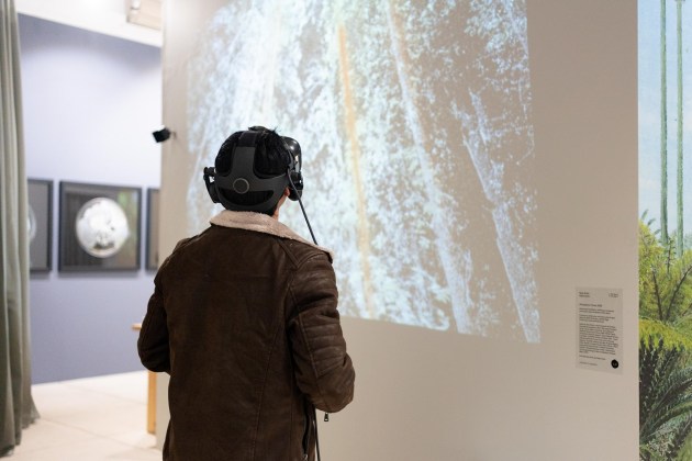 Art meets ecology: ‘Critical Zones’ exhibition spotlights Earth’s ...