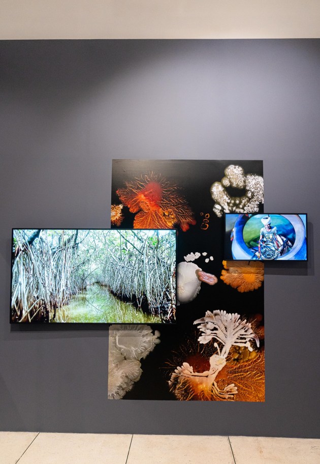 Art meets ecology: ‘Critical Zones’ exhibition spotlights Earth’s ...