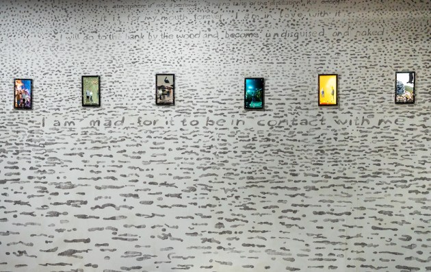 Art meets ecology: ‘Critical Zones’ exhibition spotlights Earth’s ...