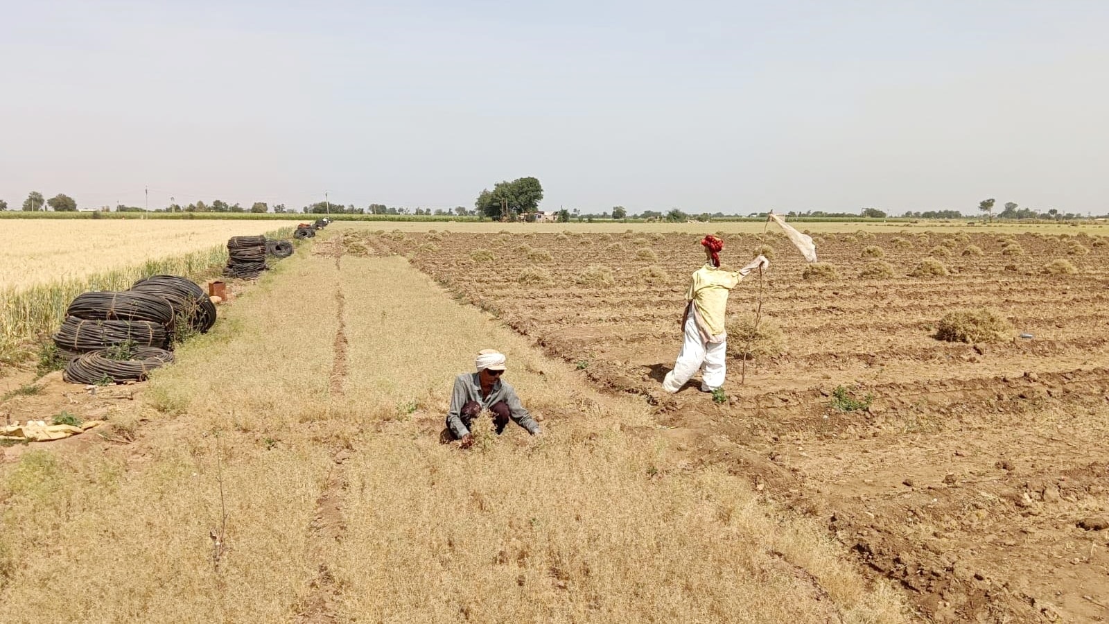 A five-year report card for PM-Kisan | The Indian Express