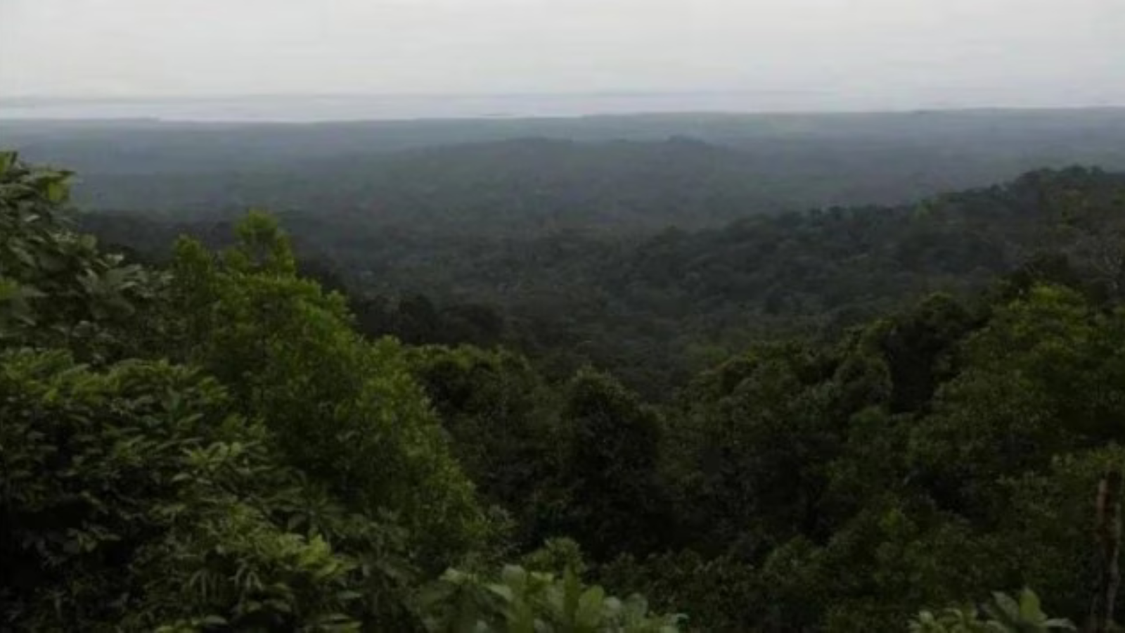 Gupteswar forest in Odisha declared as Bio-Diversity Heritage site