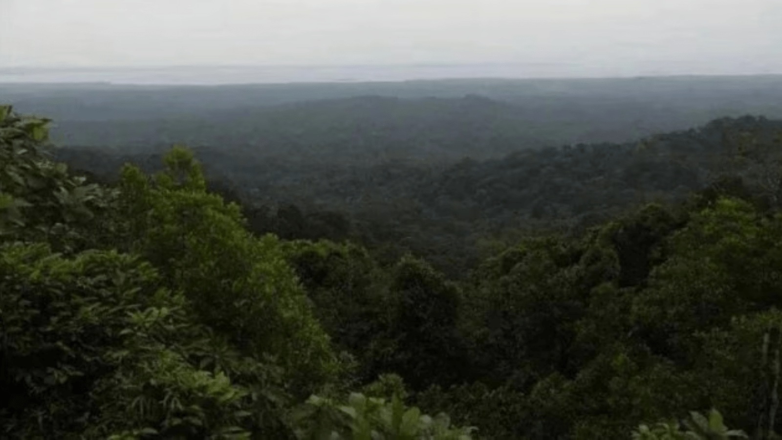 Gupteswar forest in Odisha declared as Bio-Diversity Heritage site