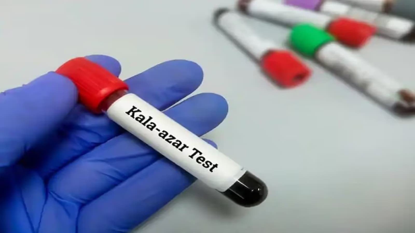 In 2023, India hit target towards eliminating Kala Azar, first time ...