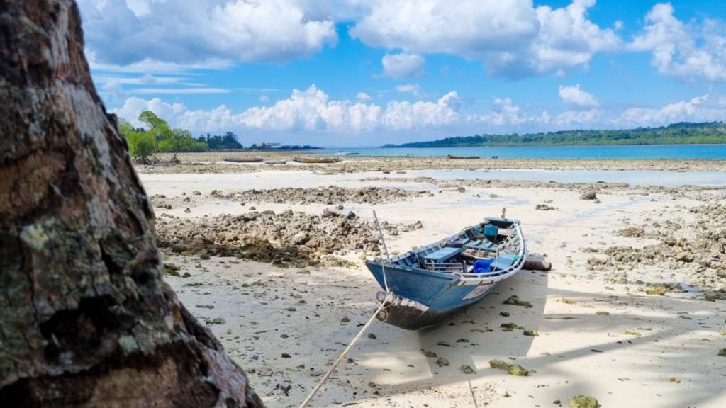 Will India’s megaproject sink the Great Nicobar Island? | World News ...