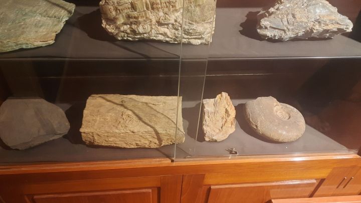 Know Your City: At the Raman Research Institute’s museum, crystals ...
