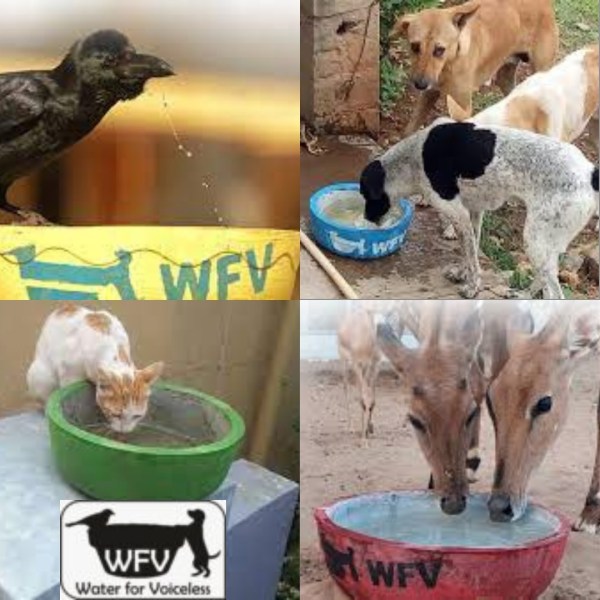 Water For Voiceless: How this movement ensures clean drinking water for ...