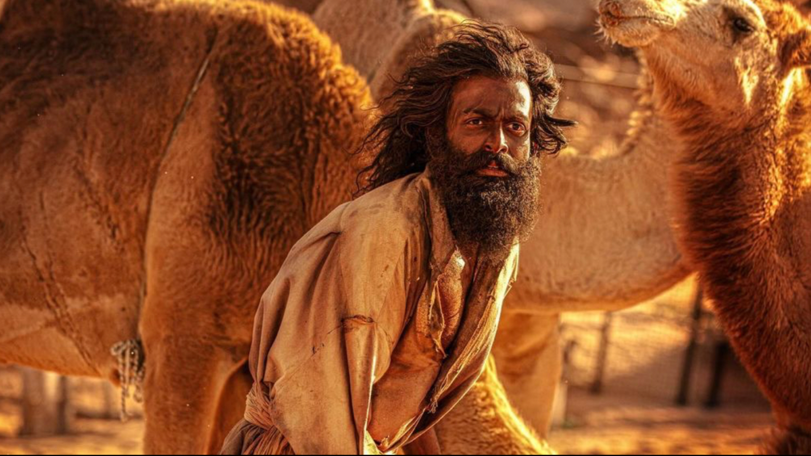 Aadujeevitham release and review Highlights: Prithviraj film off to a ...