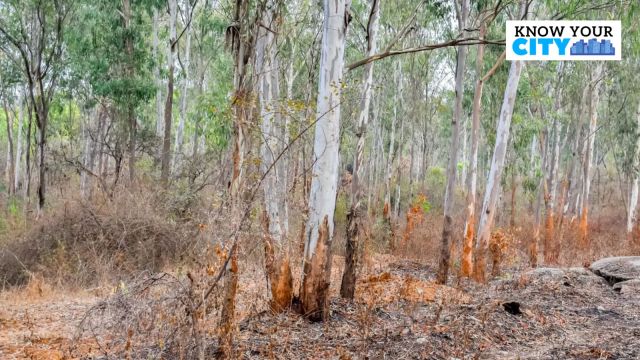 Know Your City: Turahalli forest, Bengaluru’s last patch of wilderness ...