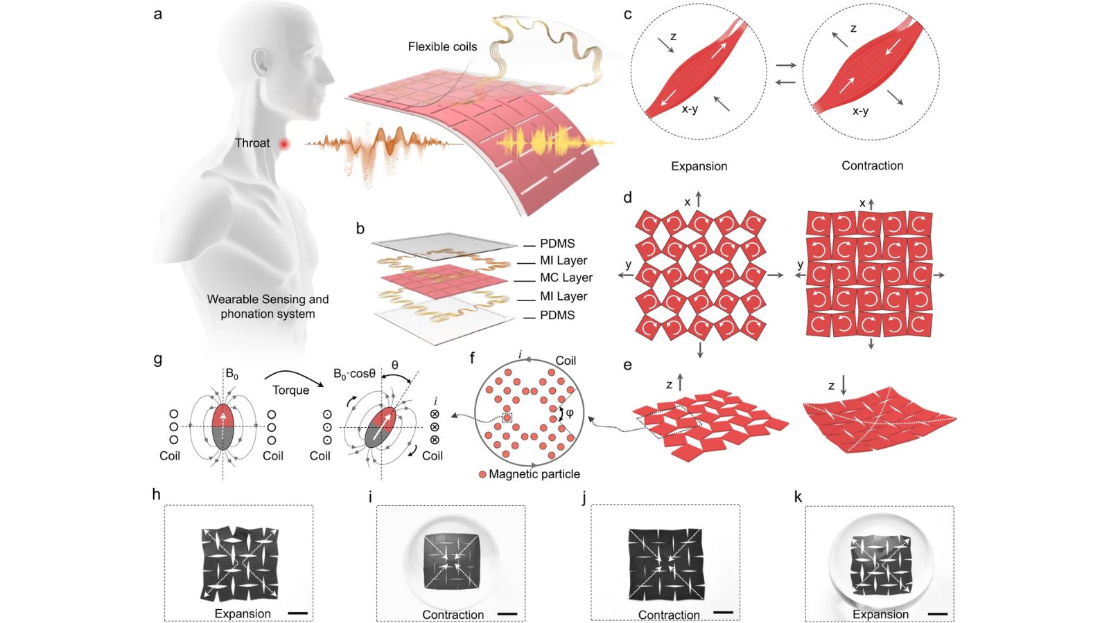 Adhesive stickers that use AI could help people with voice disorders ...