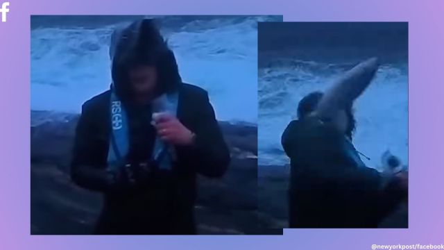 Watch: Weatherman gets hit by fish during storm in Norway; video amuses ...