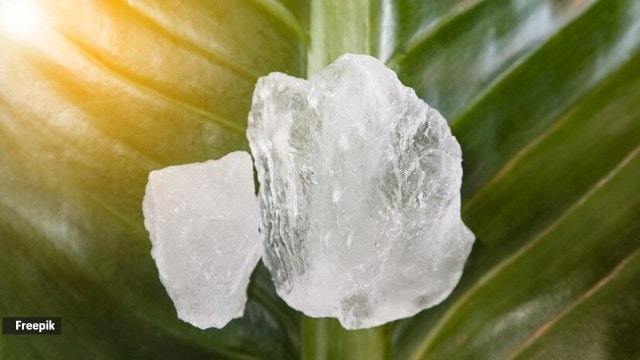 Decoding India’s all-natural gift to the world: learn more about ...