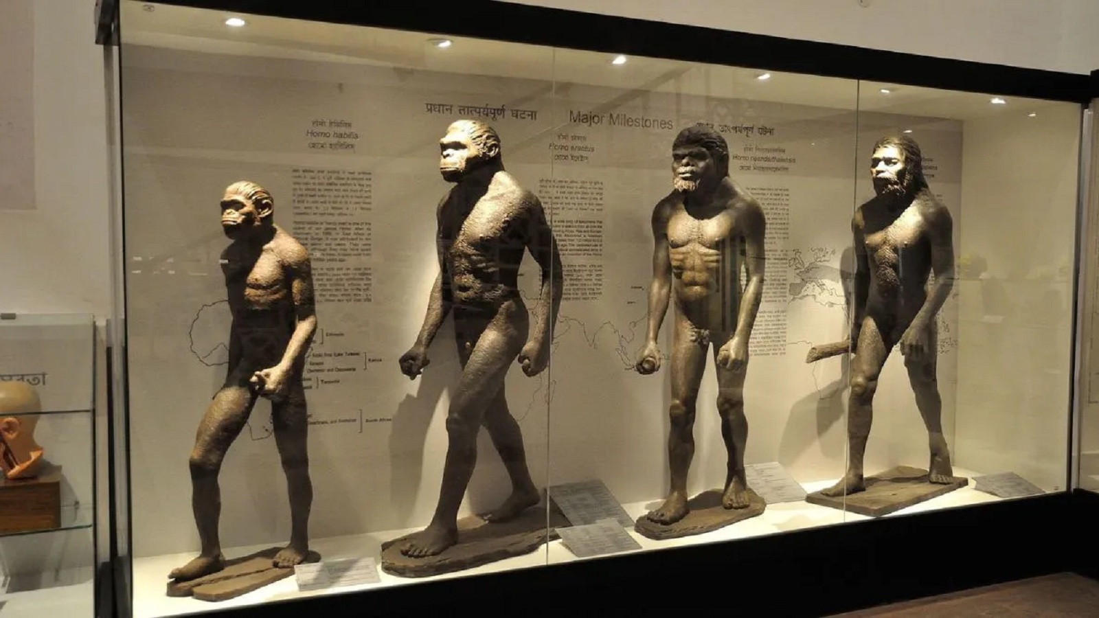 Are we in the ‘Anthropocene,’ the human age? Nope, scientists say ...