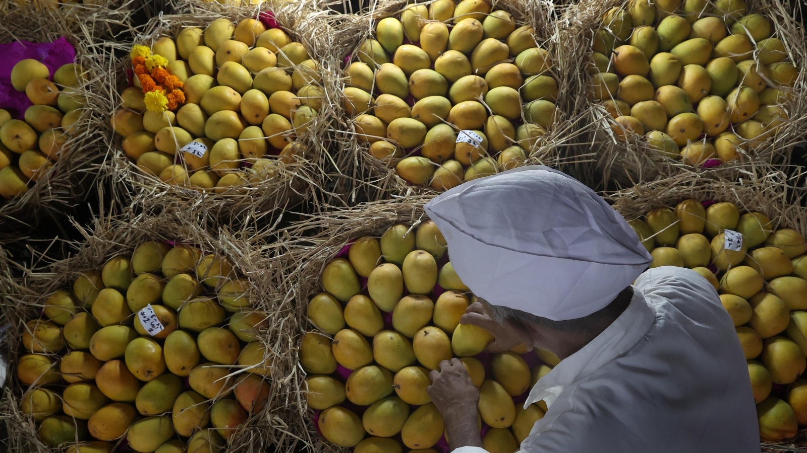 Grab before it’s gone: Shorter mango season likely in Pune this year ...