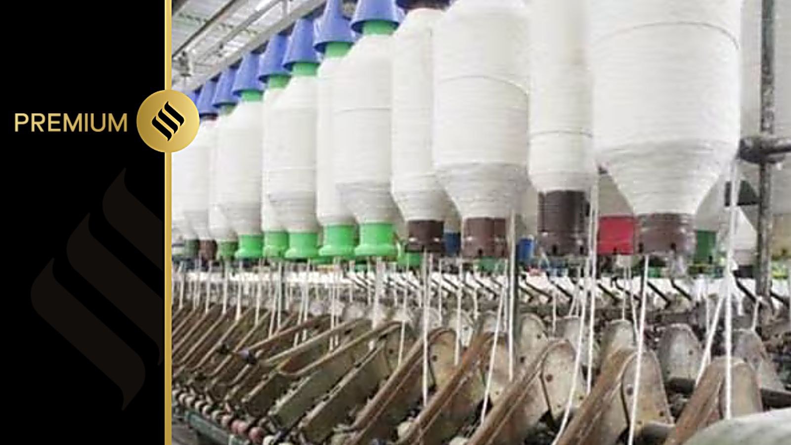 Grasim consolidates gain: How curbs on a key input for textiles helped ...