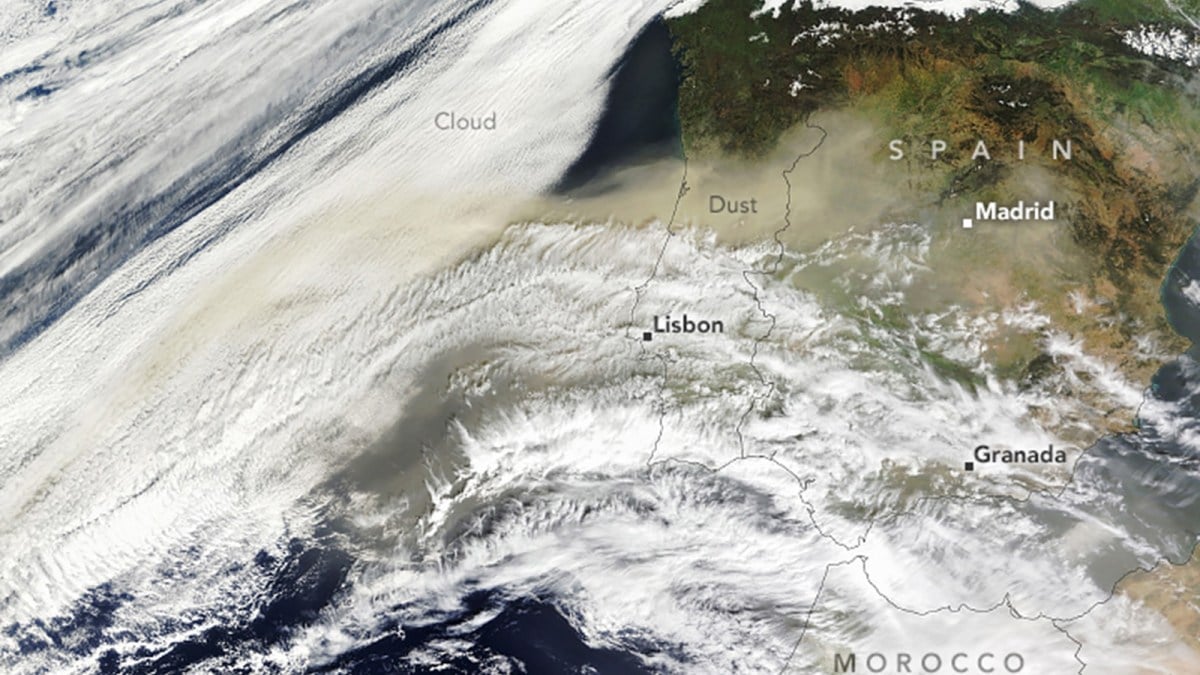Sahara dust cloud smothers Germany, France and Switzerland | World News ...