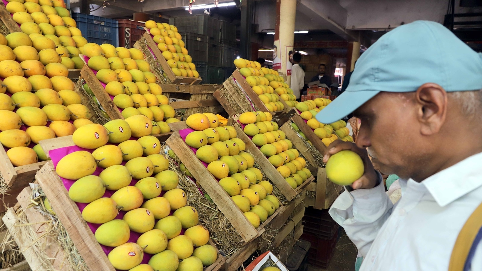 Flavor of Konkan Alphonso will now delight mango-lovers in major towns ...