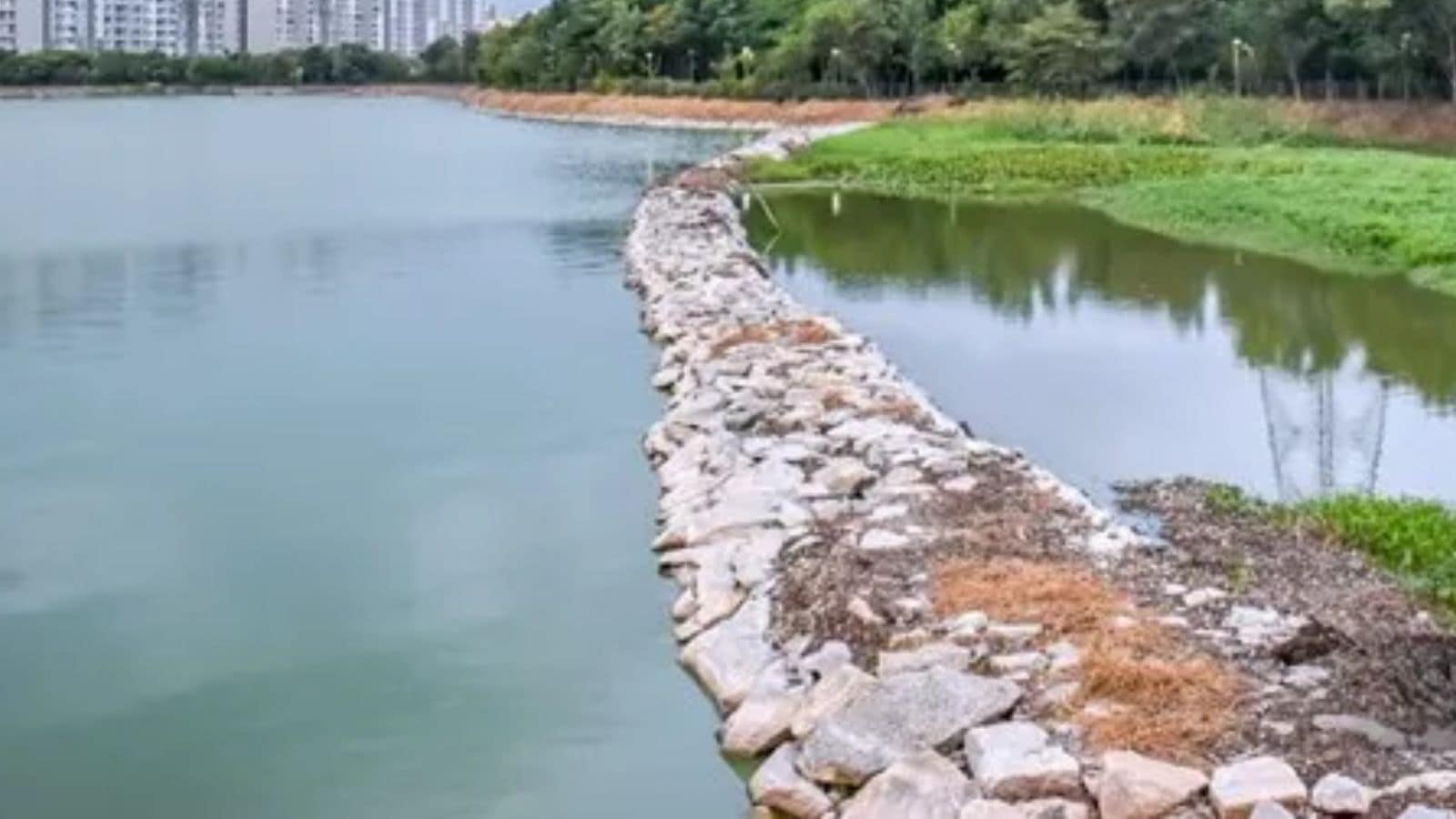 NGT takes suo motu cognisance of buffer zone reduction around lakes in Karnataka | Bangalore ...