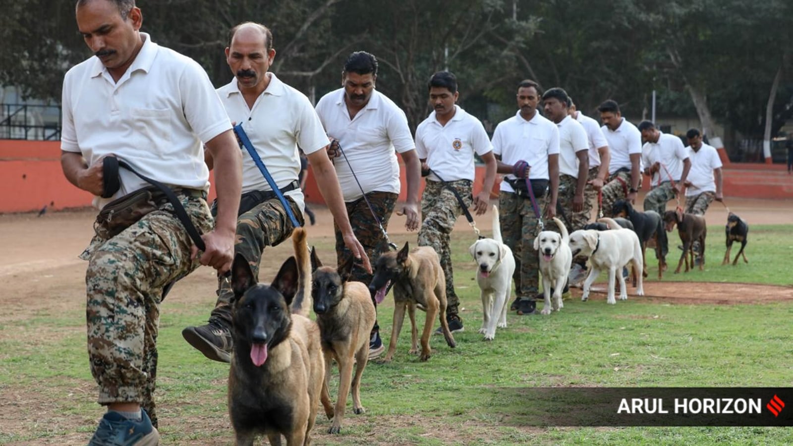 Rookie police dogs and their handlers wait to shift to their new home ...