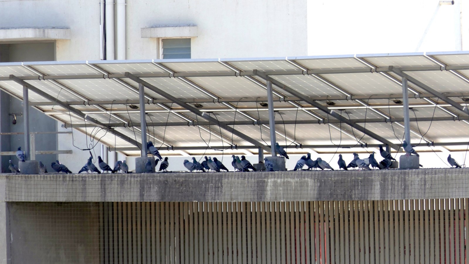 India’s solar waste could reach 600 kilotonnes by 2030: Study | India ...