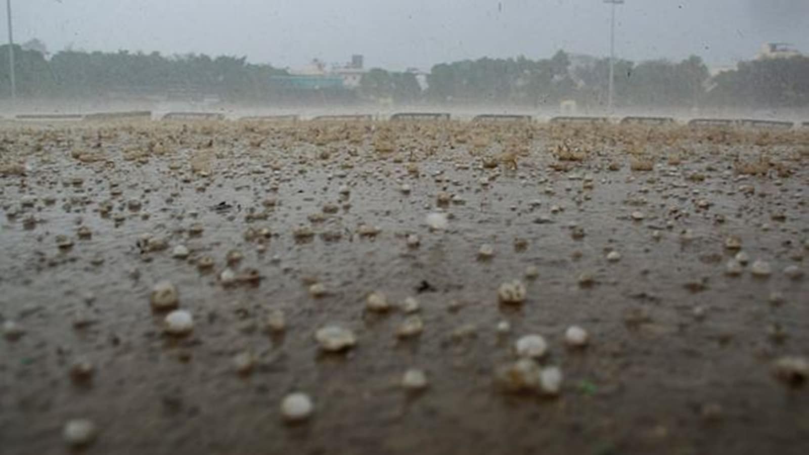 Watch video | Hailstorm hits parts of UP, crops damaged | India News ...