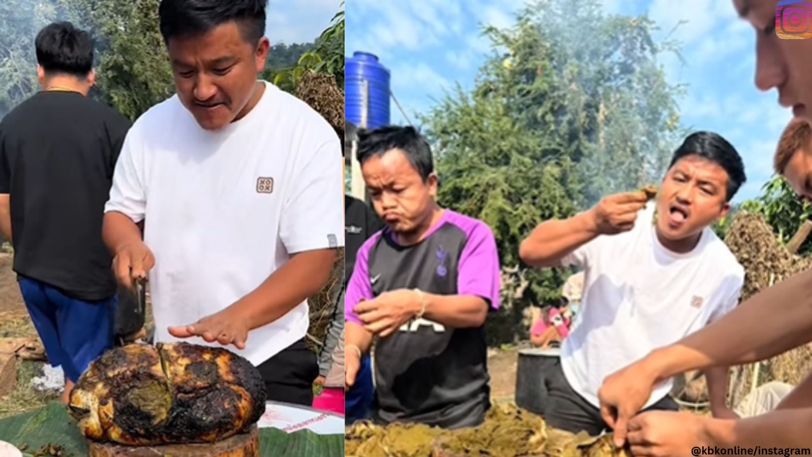 Feasting on cow’s chewed grass: Bizarre diet leaves netizens astonished ...