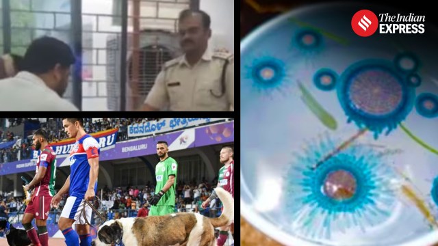 Weekend viral videos: From man denied entry at bank for wearing shorts ...