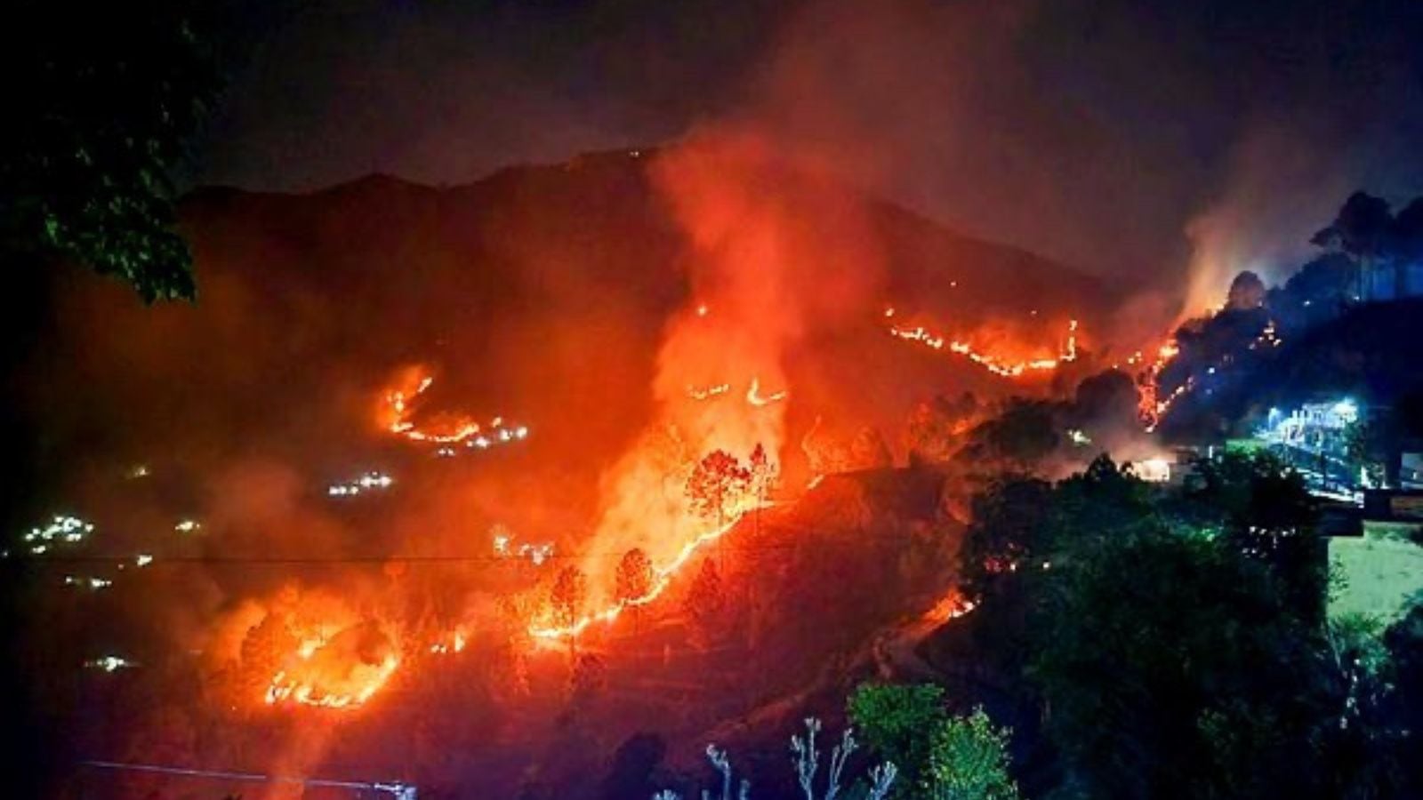 Latest News on Forest Fire: Get Forest Fire News Updates along with ...