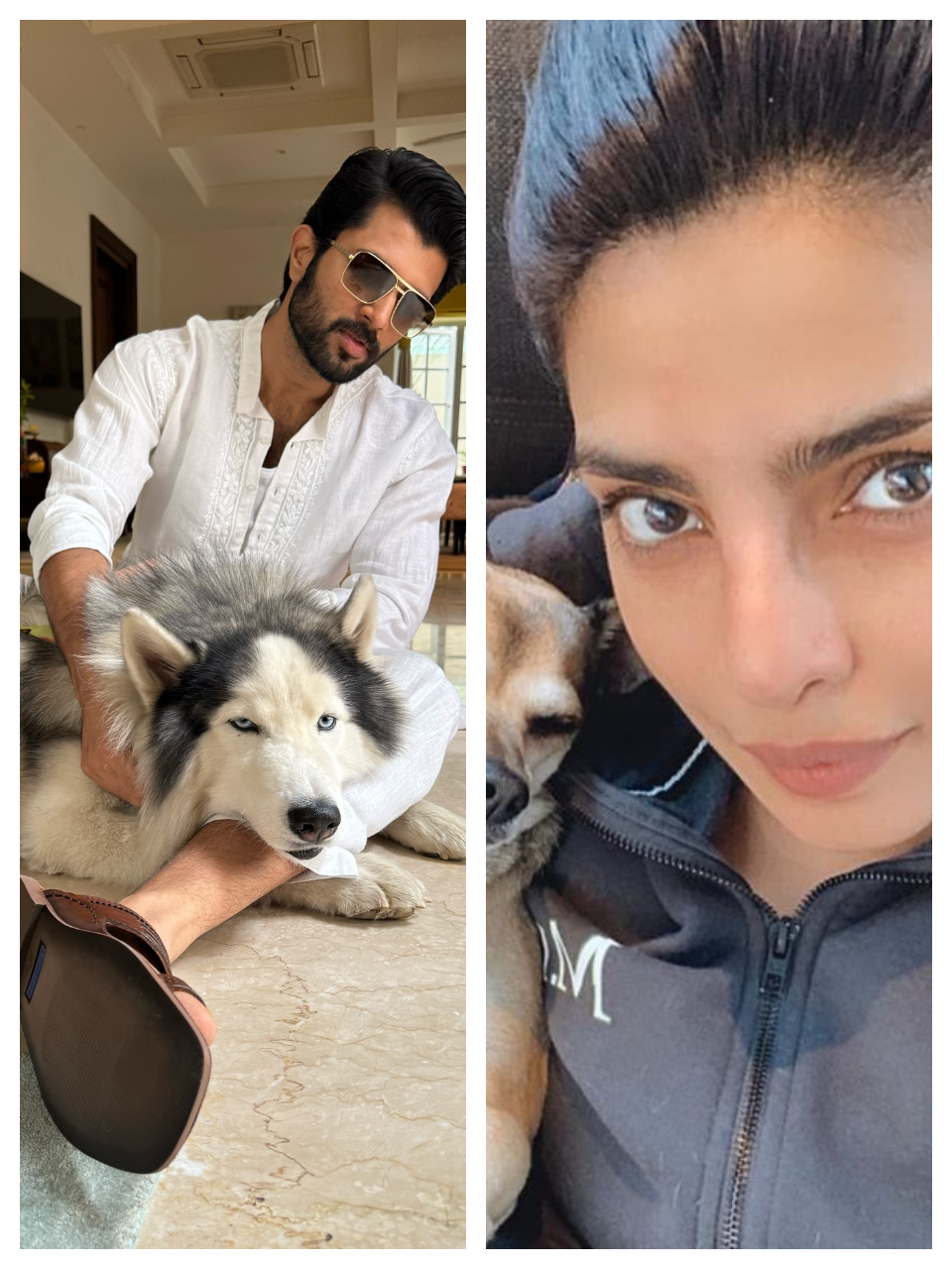 Vijay Deverakonda's Storm to Priyanka's Diana, here are famous celeb pets