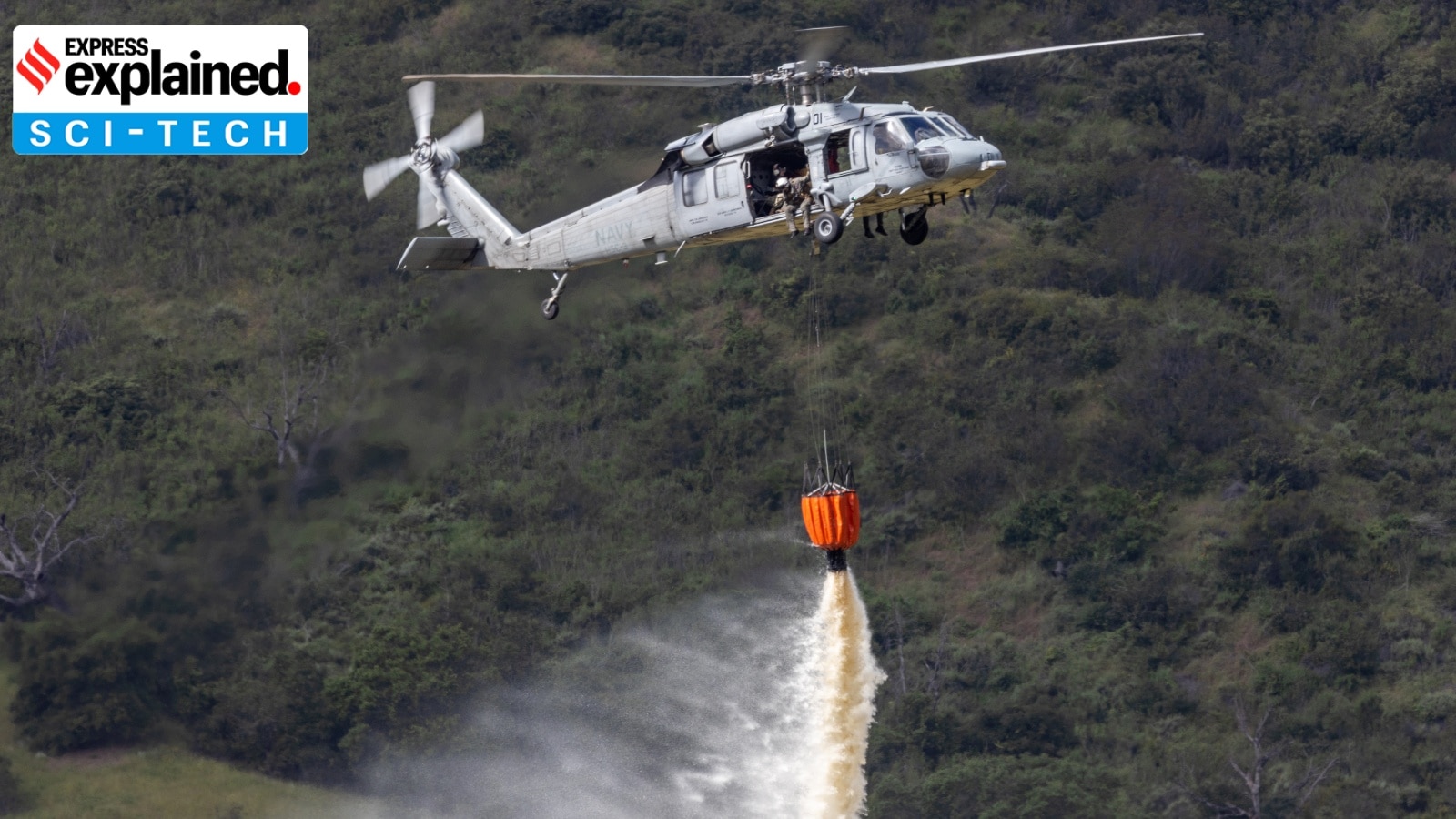 Latest News on Forest Fire: Get Forest Fire News Updates along with ...