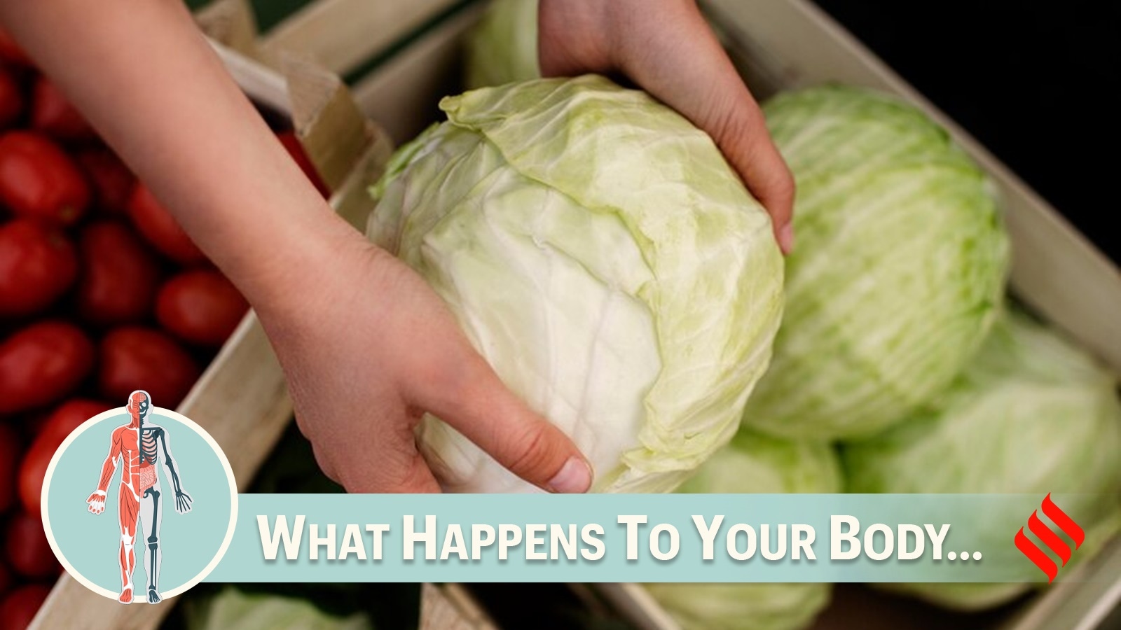 Why you must be careful when consuming cabbage