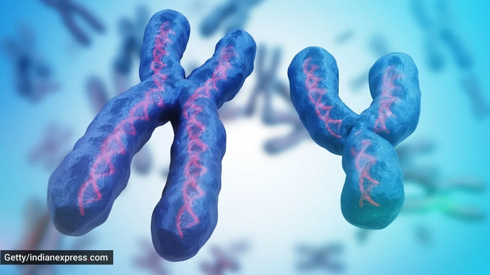 Six genes found to control one’s personality, affect health, well-being ...