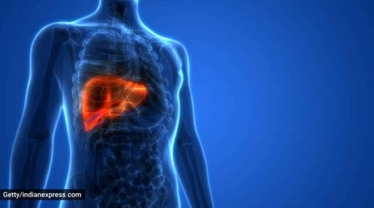 Fatty liver: How to identify early signs and symptoms | Health and ...