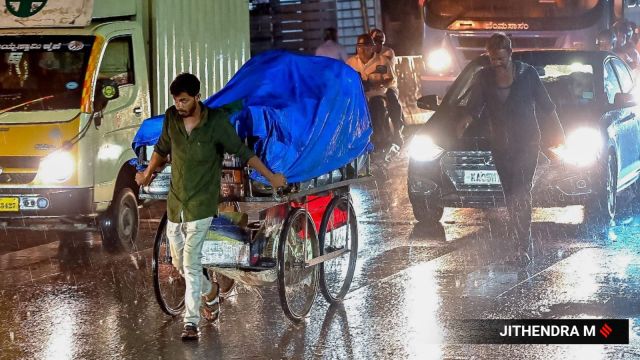 In Pictures | After dry spell of over 150 days, rain brings relief to ...