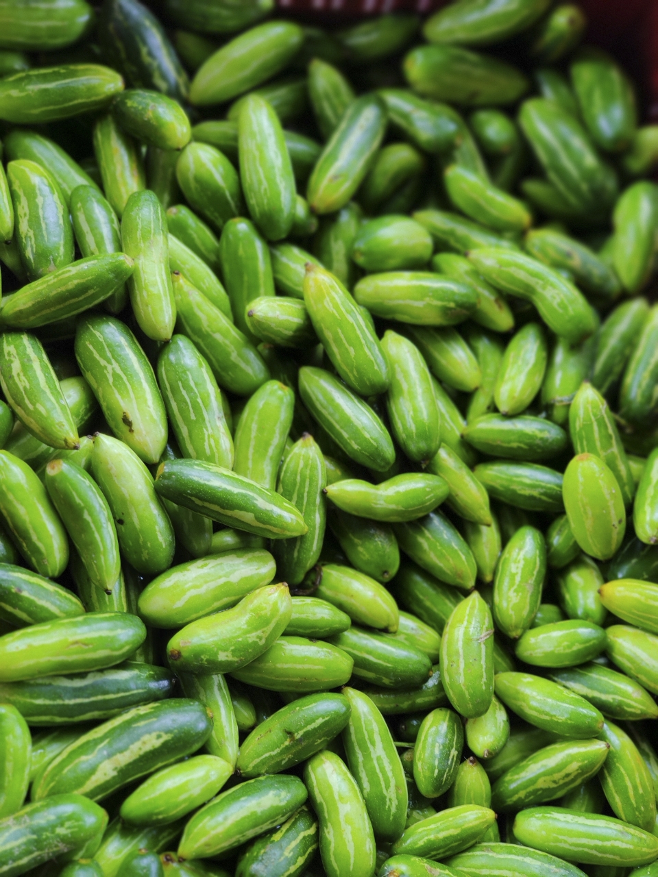 Health benefits of Kundru
