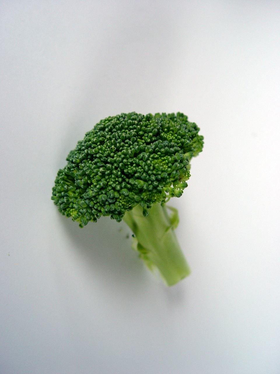 Nutrition coach advocates broccoli for blood sugar control, expert ... Nutrition coach advocates broccoli for blood sugar control, expert ...