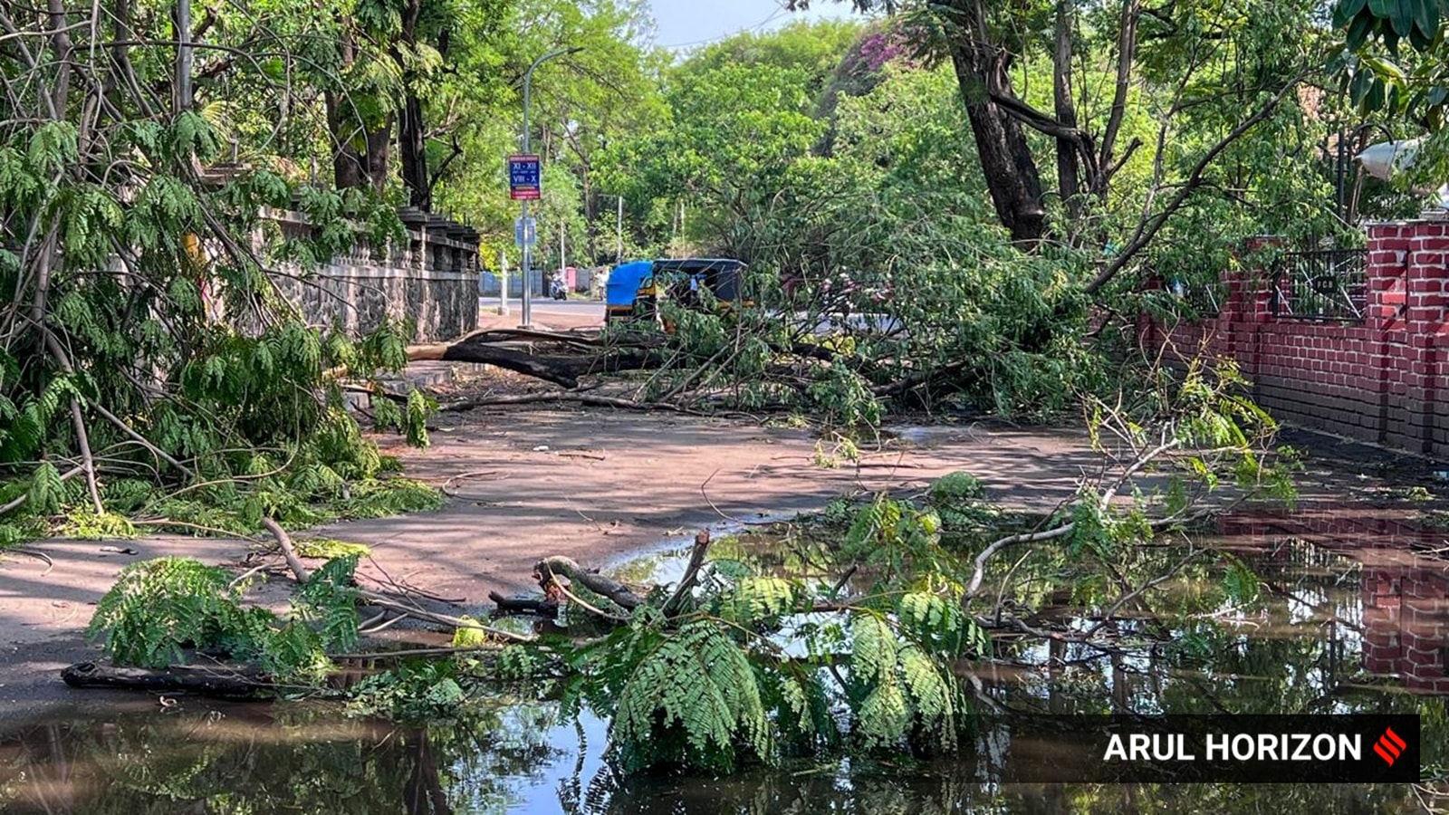 As rain, wind uproot trees, damage power lines in Pune, some areas ...