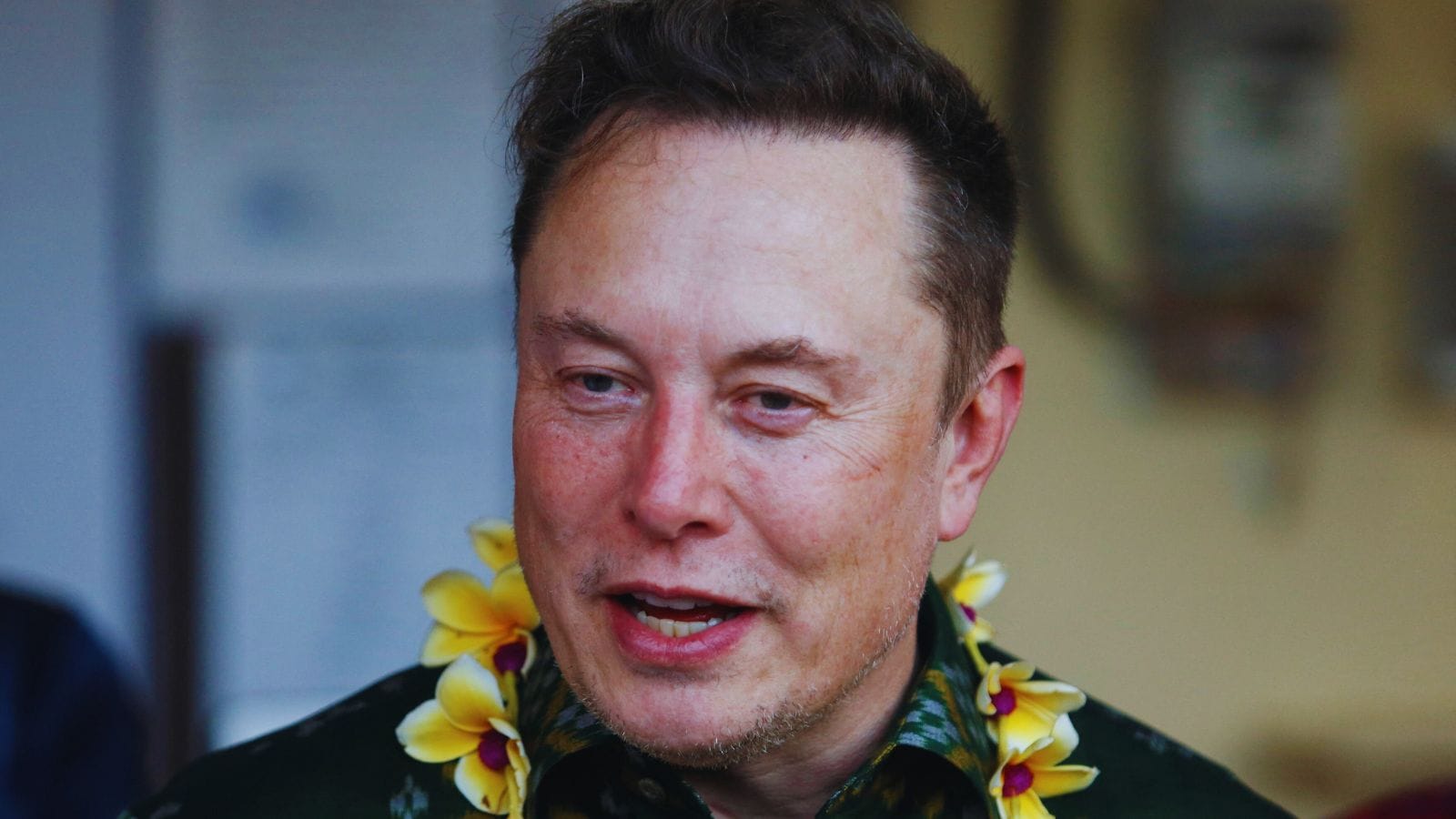 Elon Musk says rise of AI will make jobs ‘optional’ as AI robots will ...