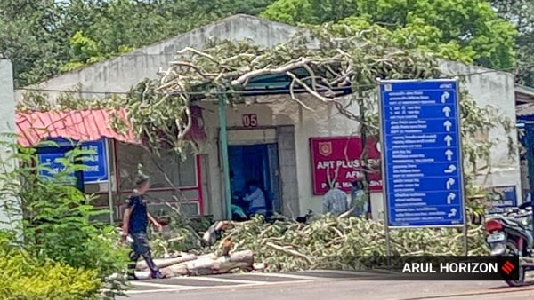 As rain, wind uproot trees, damage power lines in Pune, some areas ...