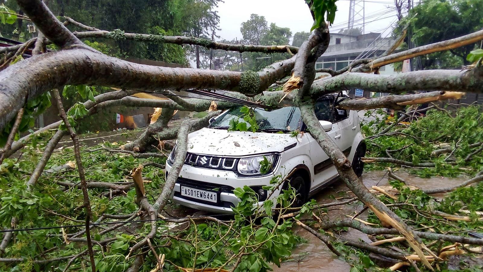 Cyclone Remal aftermath: Over 25 dead as heavy rains batter Northeast India | India News News ...