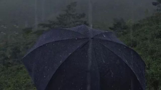 Shimla, Kufri get light rain; heatwave forecast in Himachal Pradesh for ...