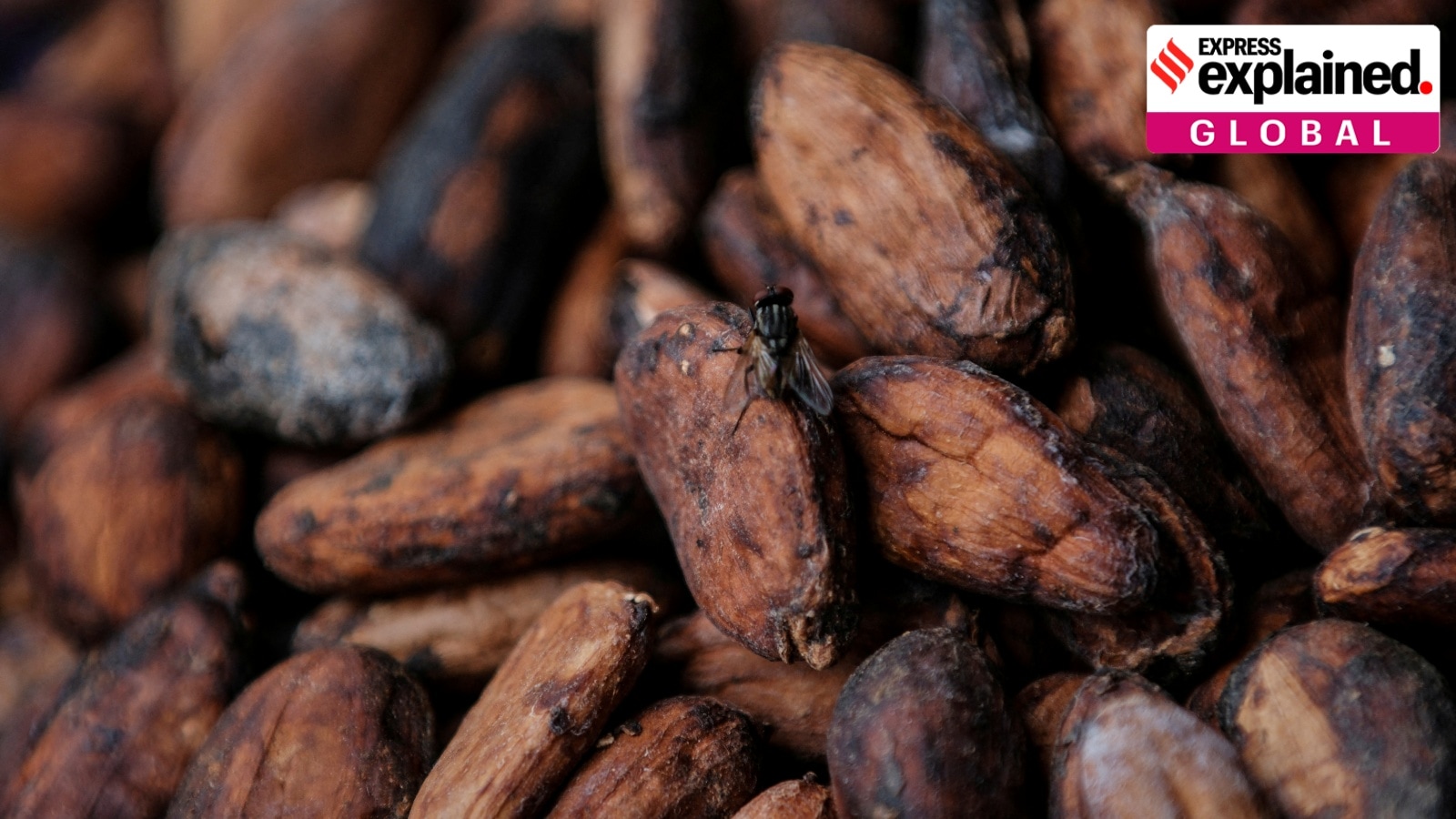 Chocolate industry meltdown: What led to the rise in prices of cocoa beans | Explained News ...