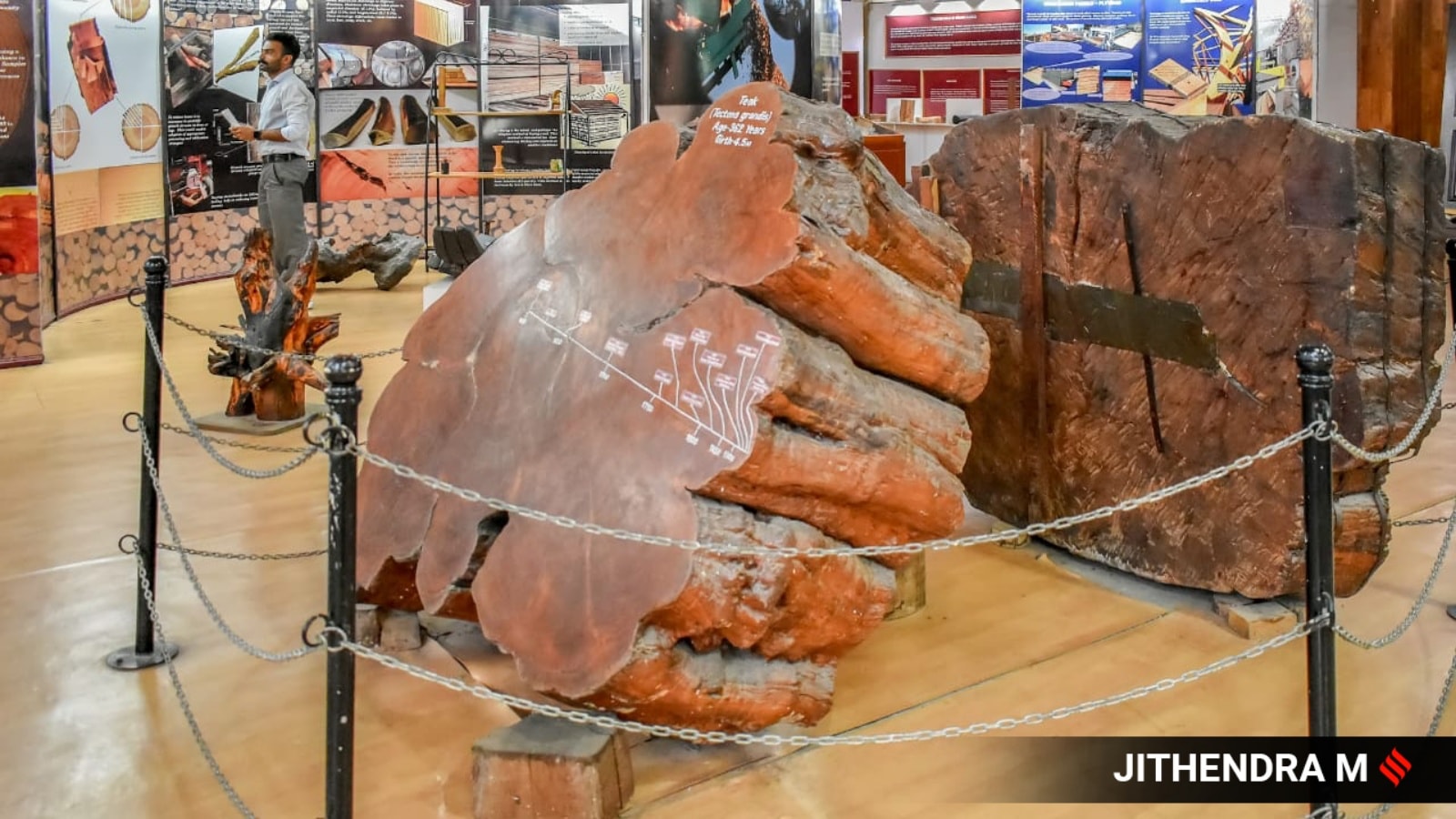 Know Your City: From ancient teak to modern furniture, a museum of wood ...