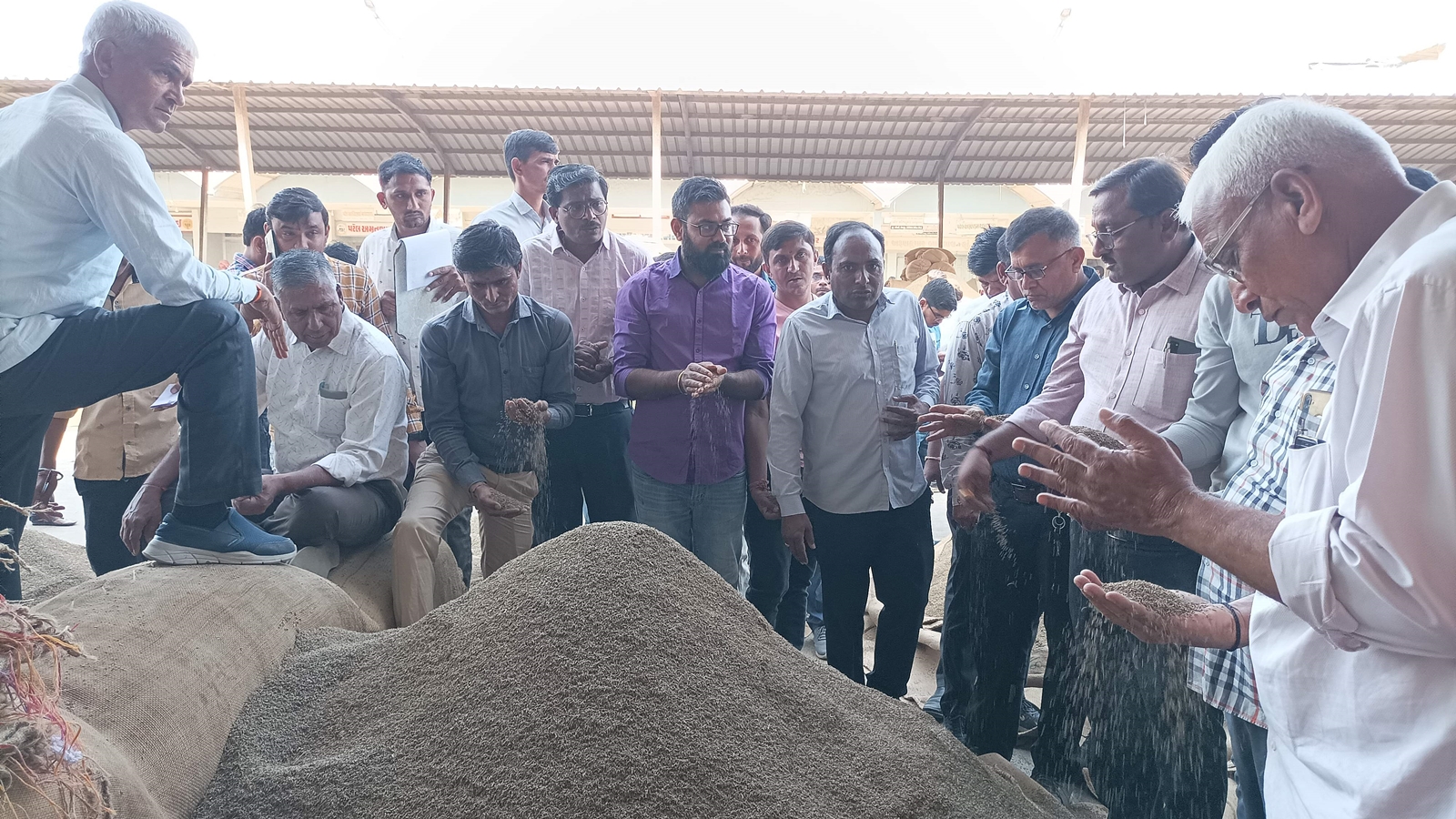 After remaining low for month, cumin seed prices recover | Ahmedabad ...