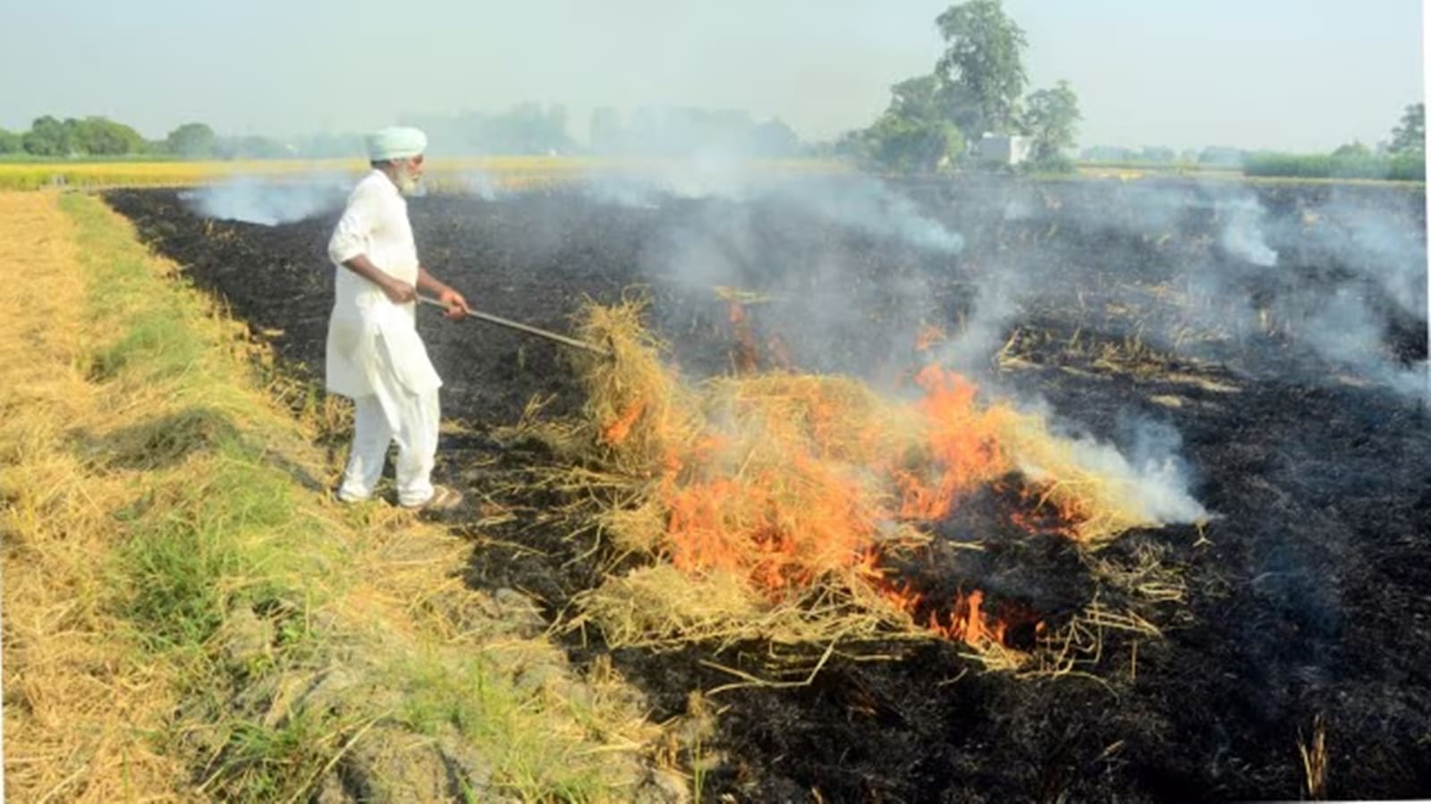 Farm fire count in UP twice as high as last year, poor AQI in Delhi ...