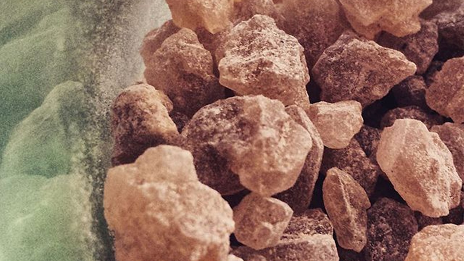 What is palm sugar, and why you should (or not) have it in summers?