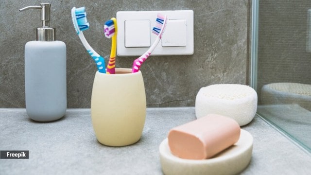 Ew, gross! This is why experts warn against storing your toothbrush in ...