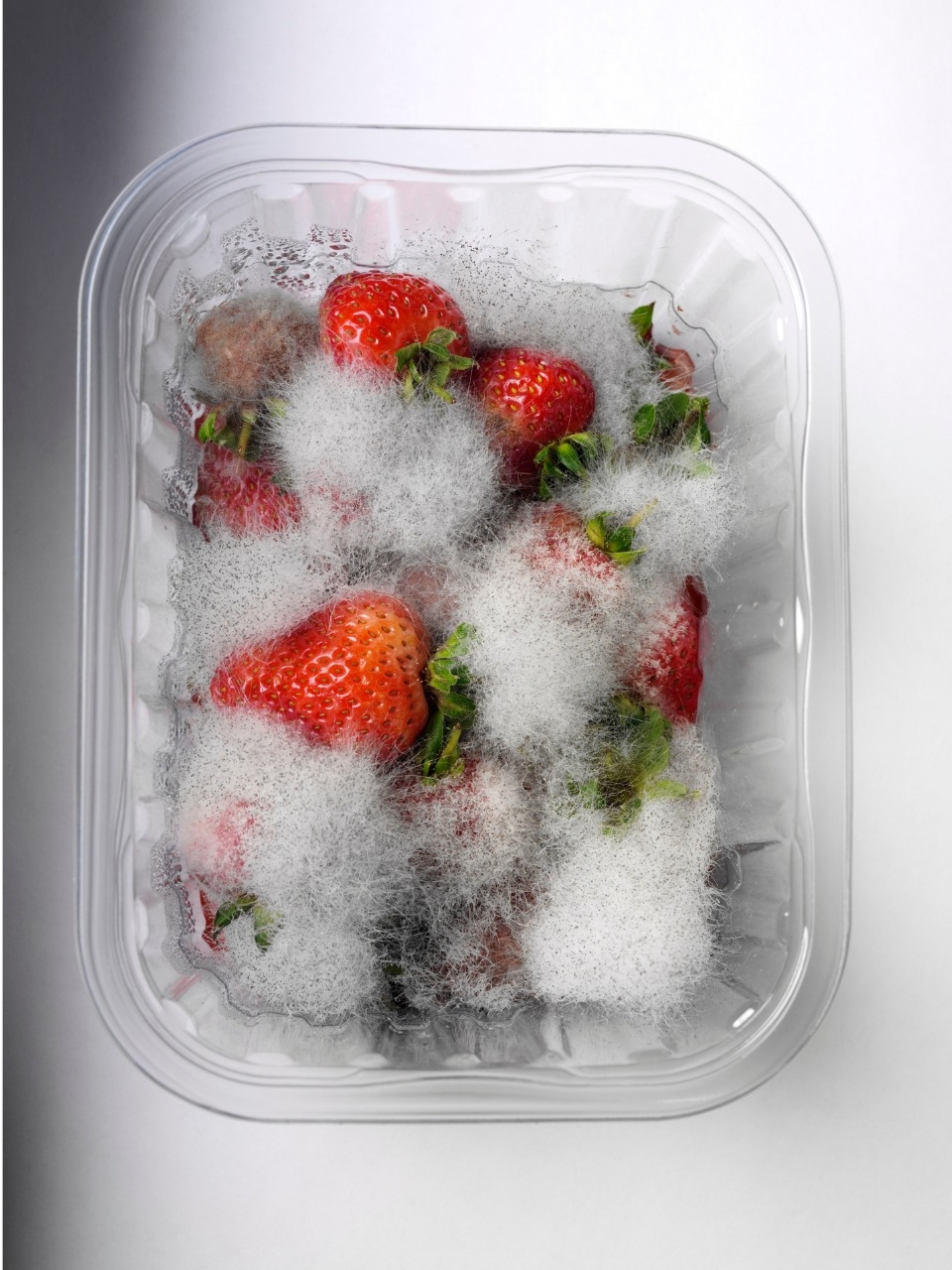 Experts warn of microbial dangers lurking in unhygienic food